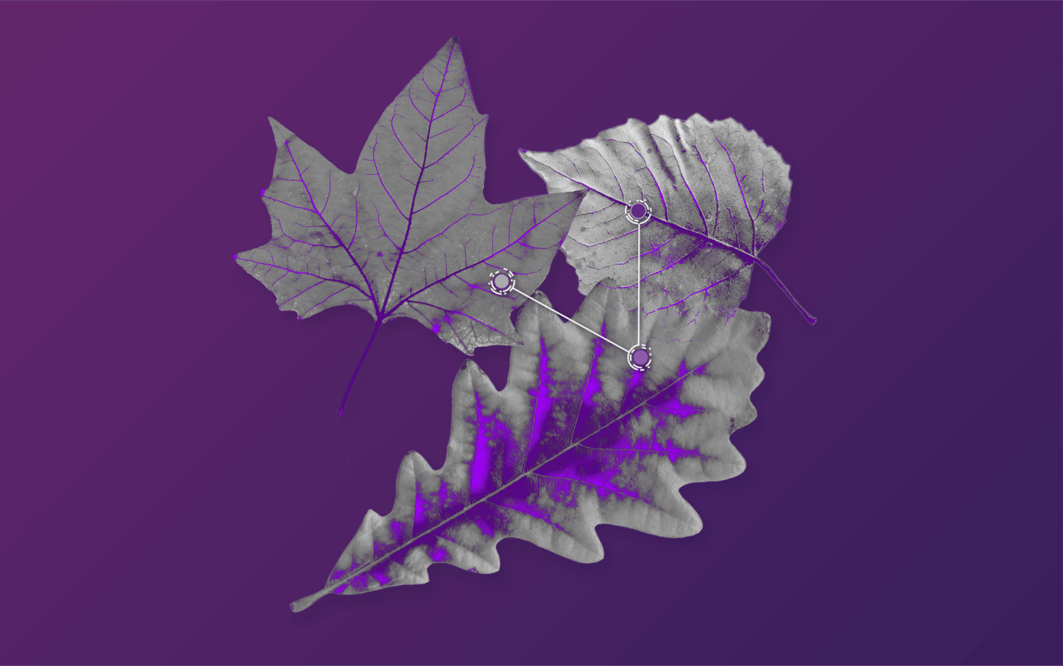 Home - Enterprise Knowledge