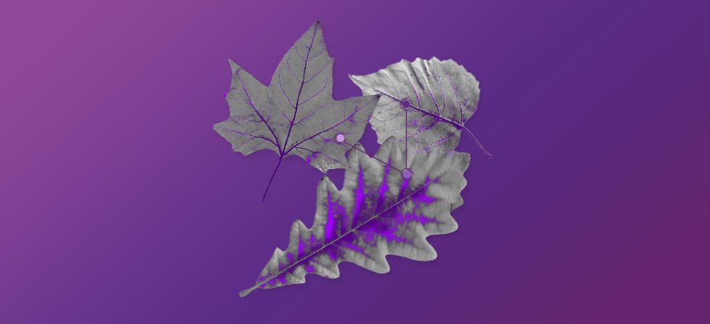 Enterprise Knowledge